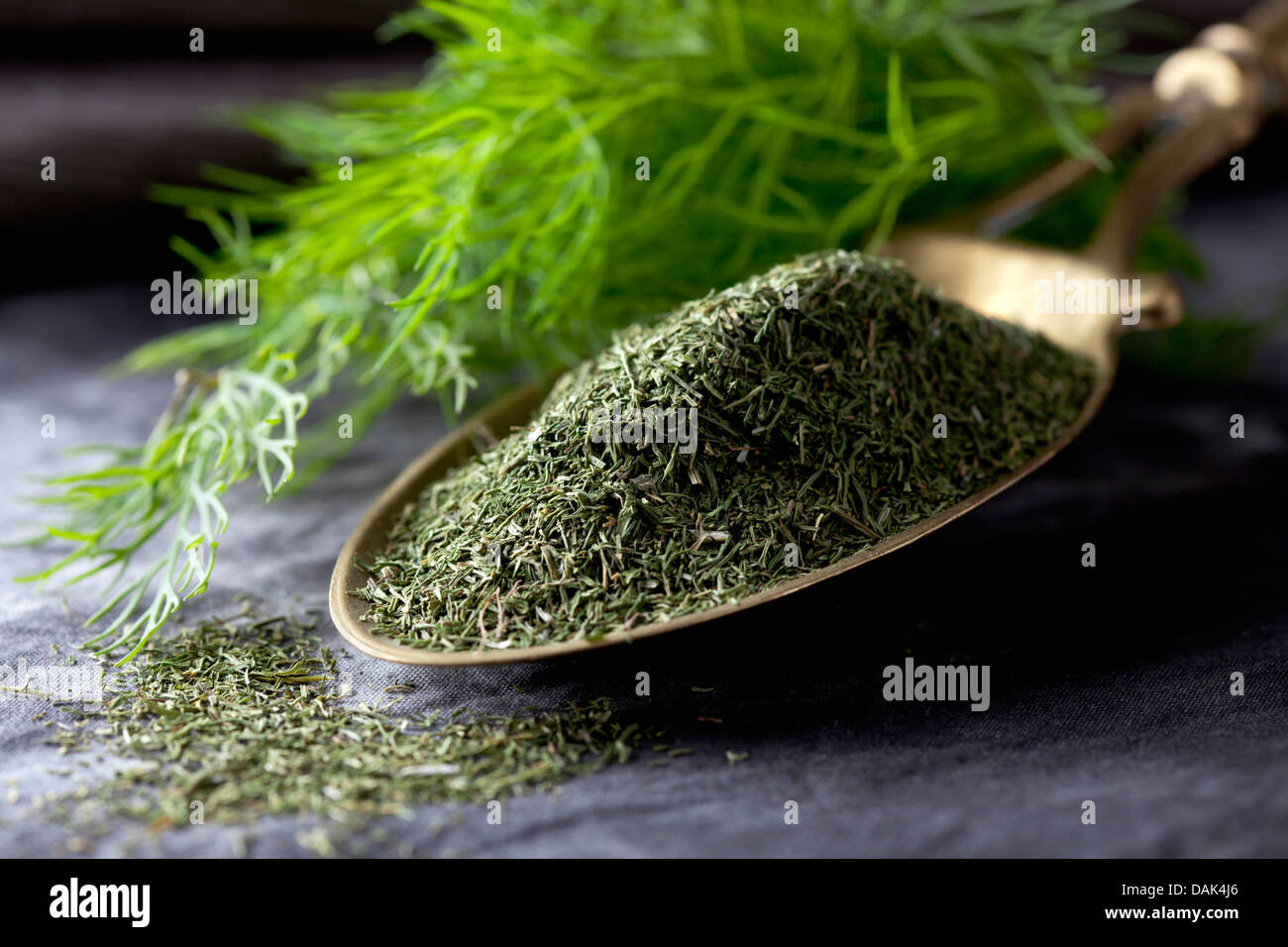 Fresh dill on textile hi-res stock photography and images - Alamy