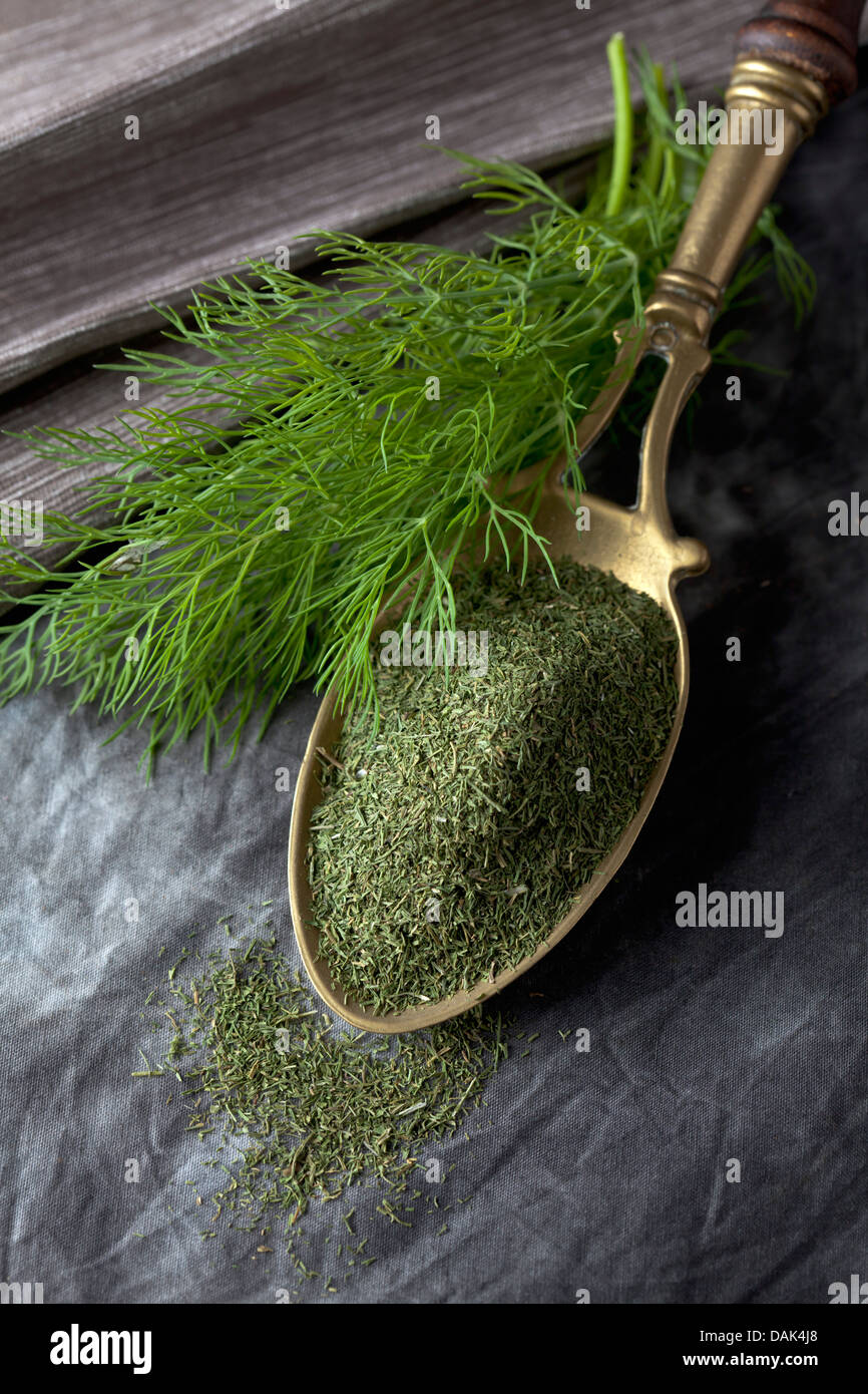 Fresh dill on textile hi-res stock photography and images - Alamy