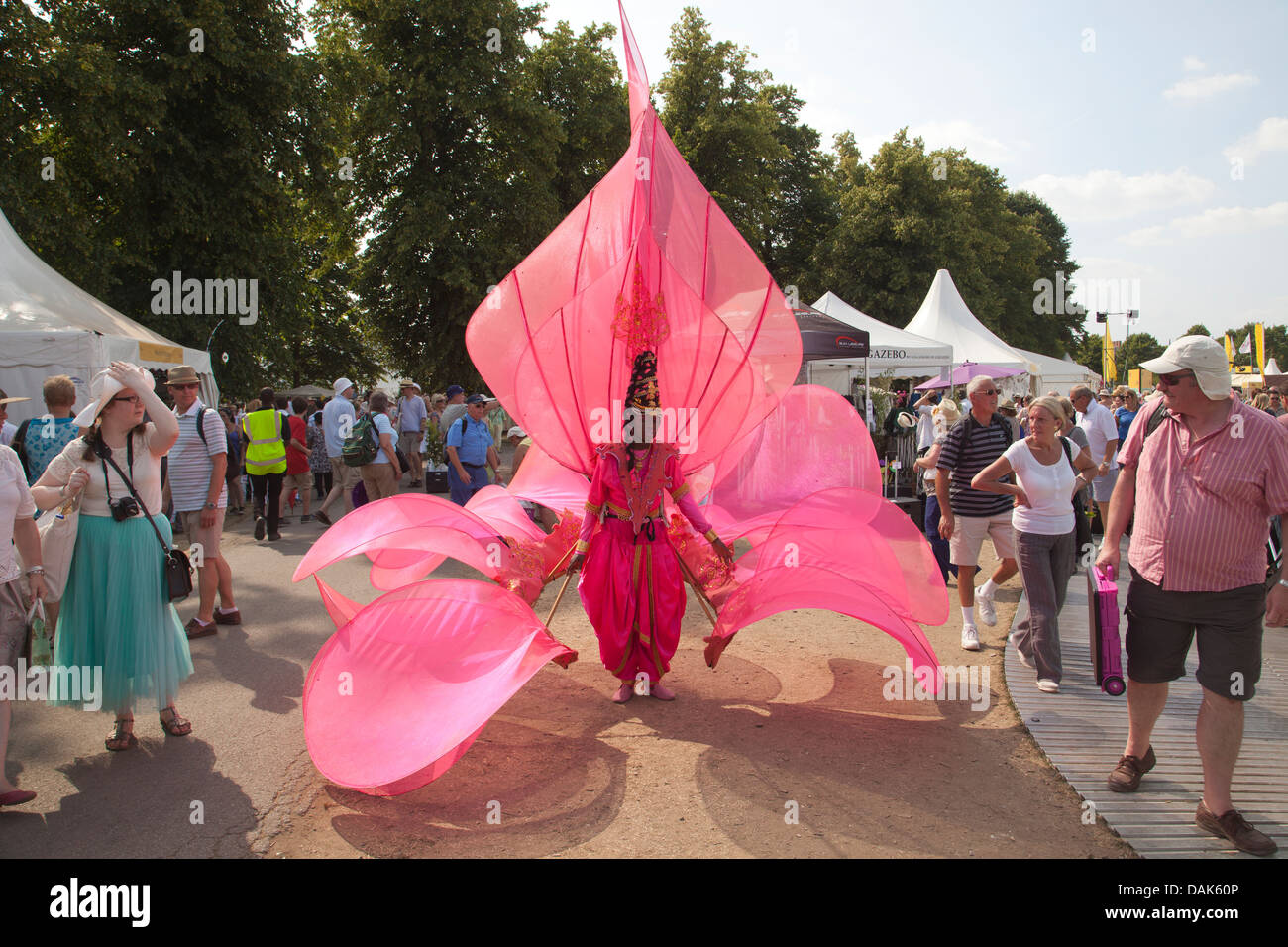 RHS Hampton Court Palace Flower Show 2013 Stock Photo - Alamy