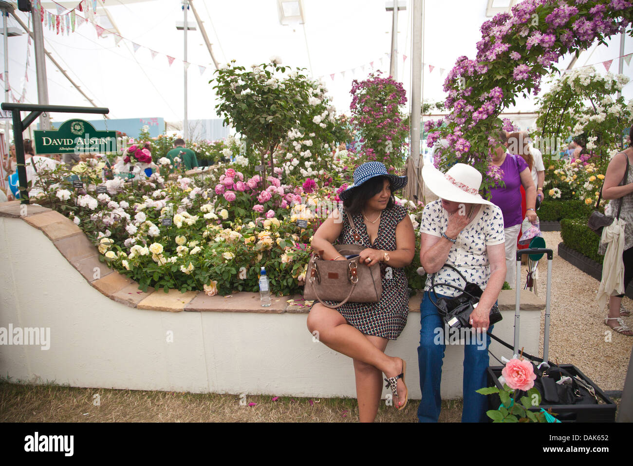 RHS Hampton Court Palace Flower Show 2013 Stock Photo - Alamy