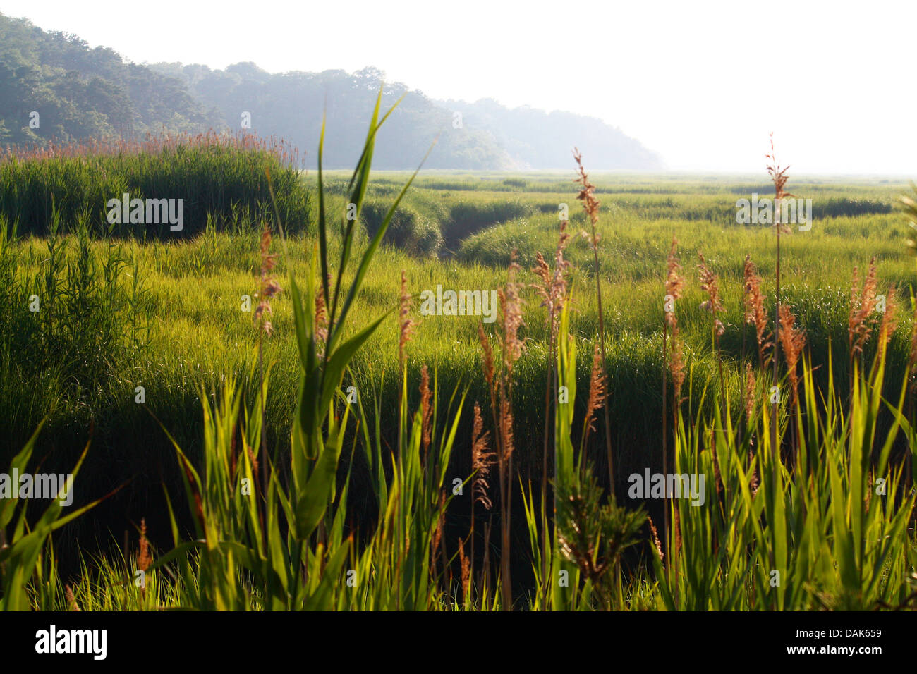 Pamet hi-res stock photography and images - Alamy