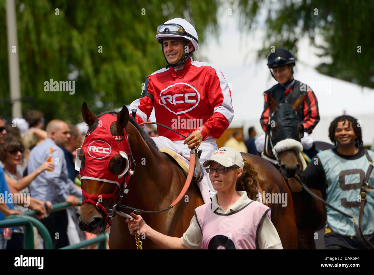 Rexton thoroughbred horse in the walking ring at the Queens Plate ...