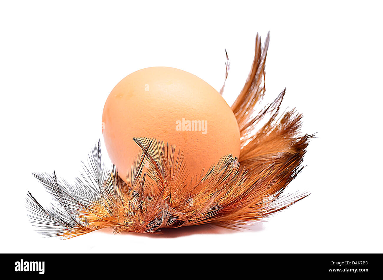 Eggs and feathers Stock Photo - Alamy