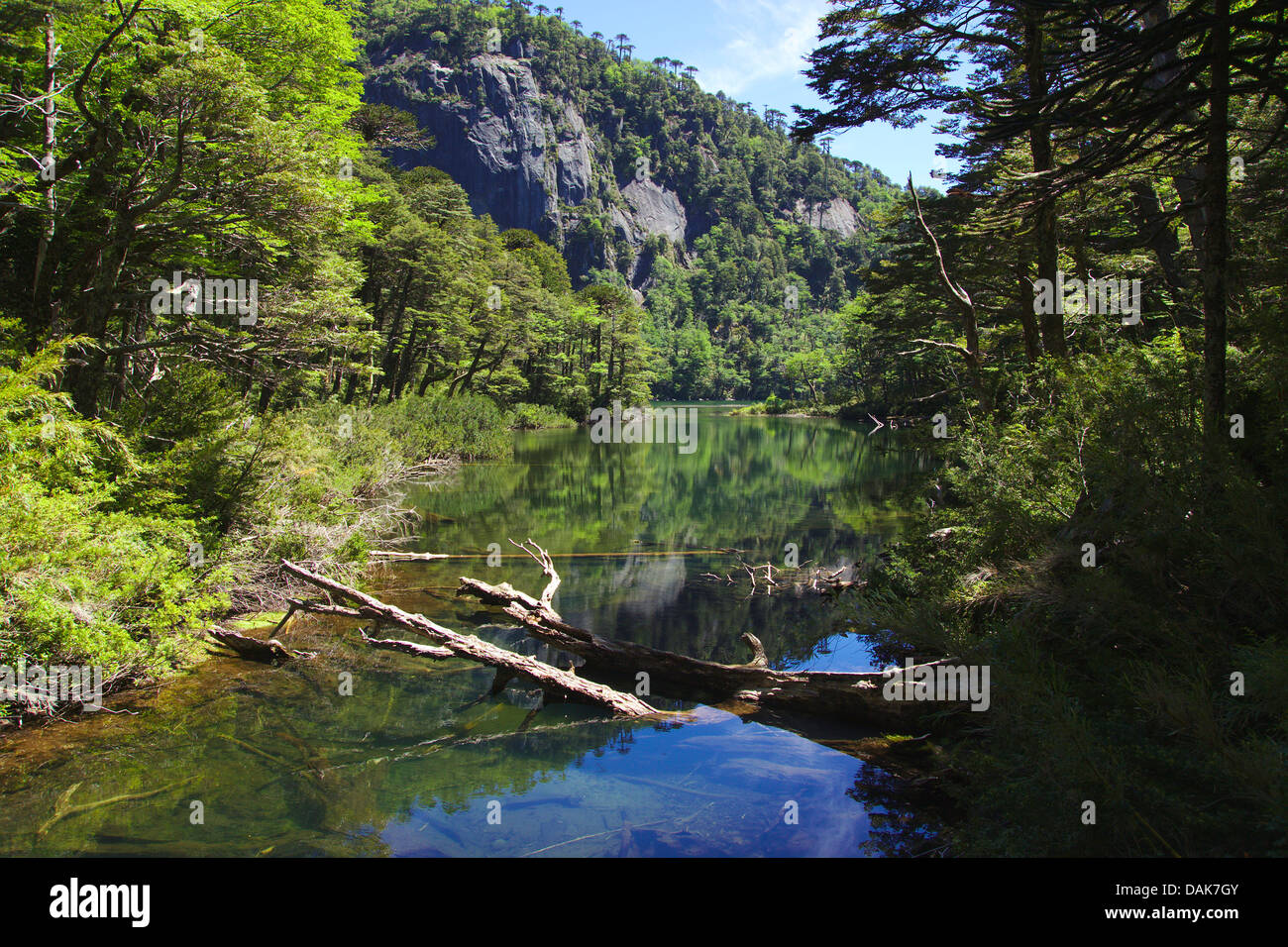 Lago Chico at the National Park Huerquenes, Chile, Patagonia ...