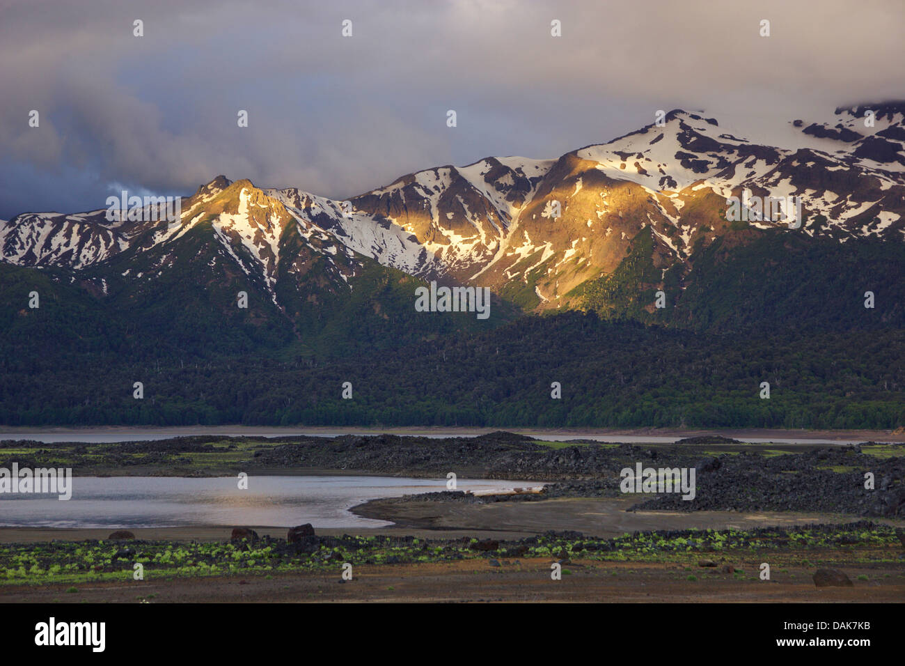 Conguillio national park hi-res stock photography and images - Alamy