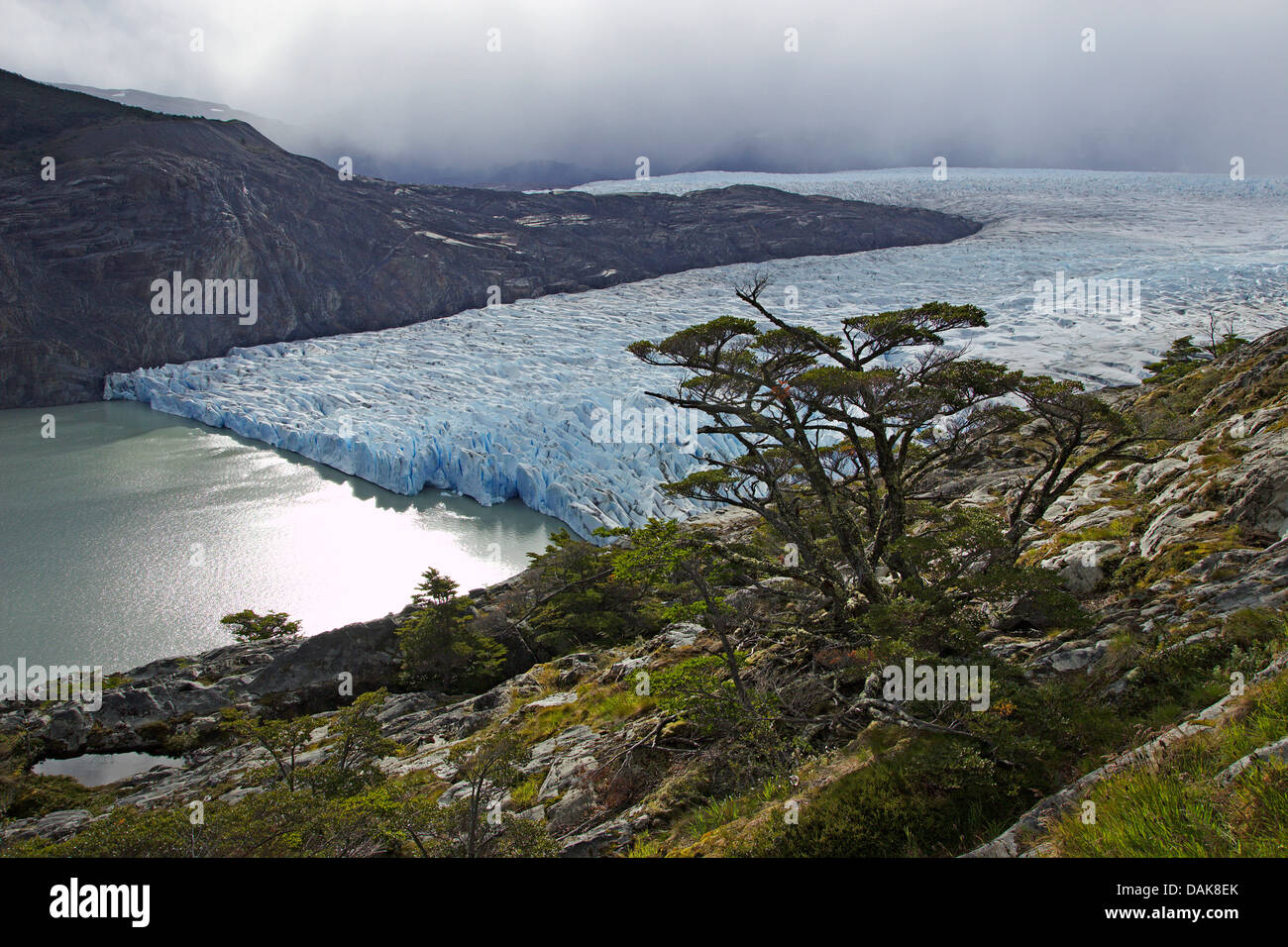 Grey glacier and Grey Lake, Chile, Patagonia, Torres del Paine National ...