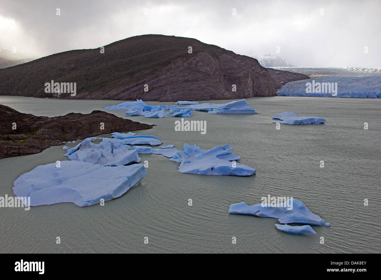 Grey Glacier and Grey Lake with icebergs, Chile, Patagonia, Torres del ...