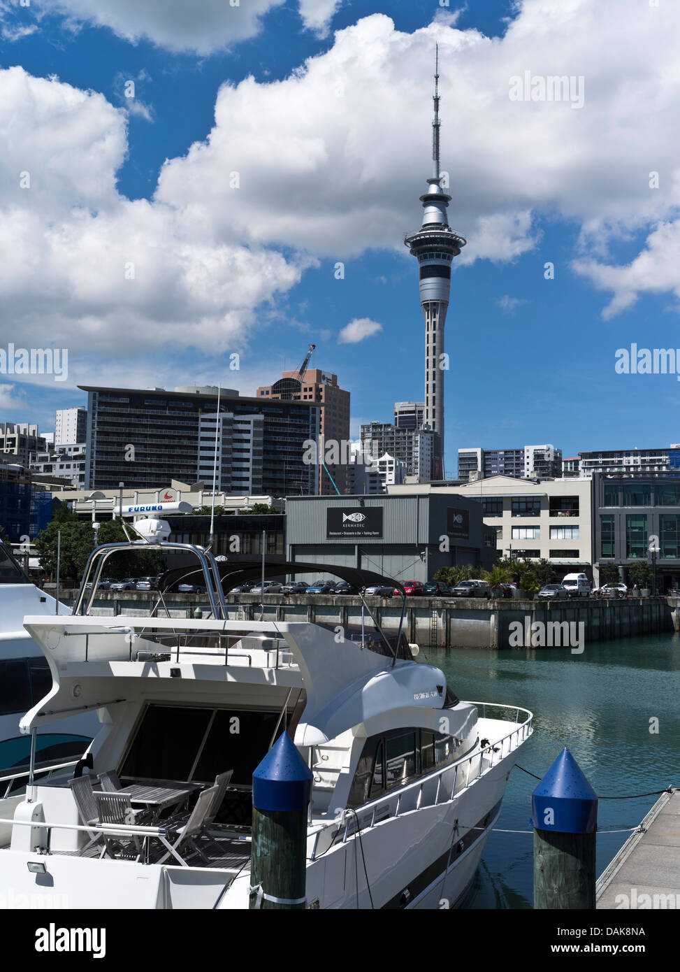 dh Viaduct Basin AUCKLAND NEW ZEALAND Motor crusier yacht Sky Tower ...