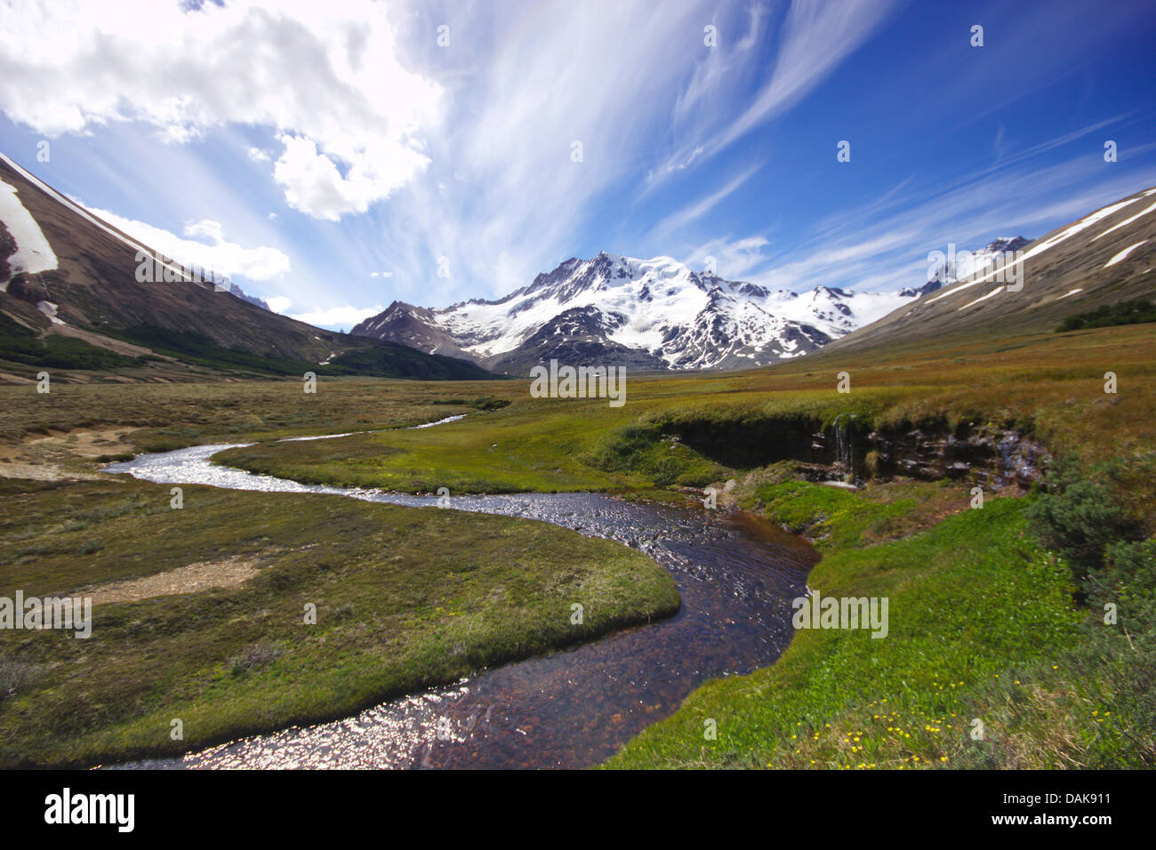 moorland below Cerro Hermoso, massif of Cerro San Lorenzo, Argentina ...
