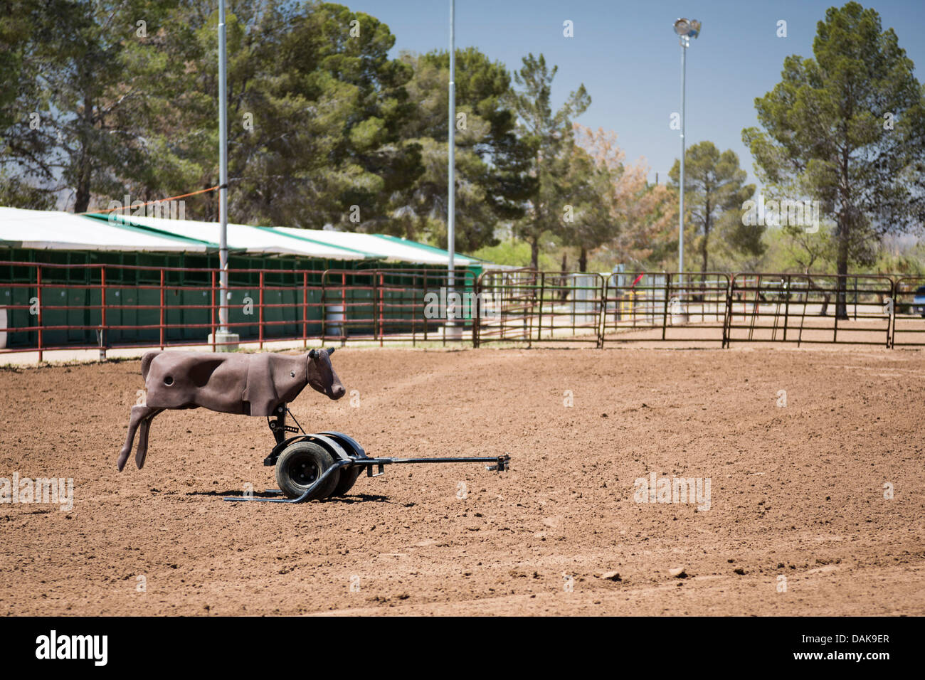 Calf Roping Competition High Resolution Stock Photography and Images ...