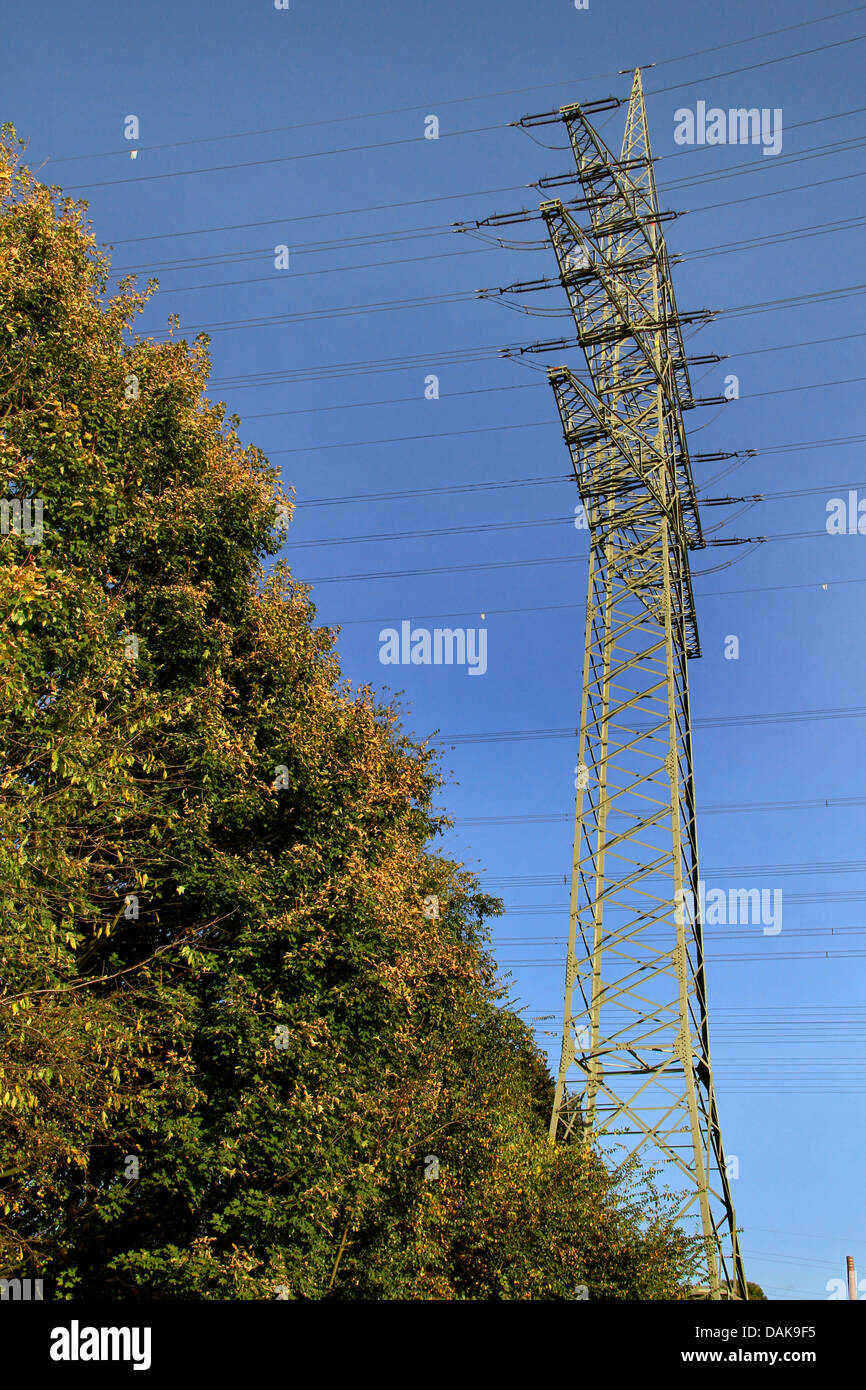 power pole at forest edge, Germany, North Rhine-Westphalia Stock Photo ...