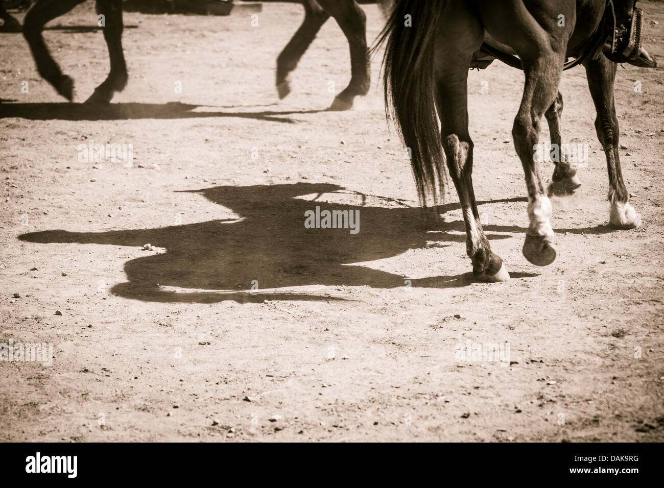 Future Rider High Resolution Stock Photography and Images - Alamy