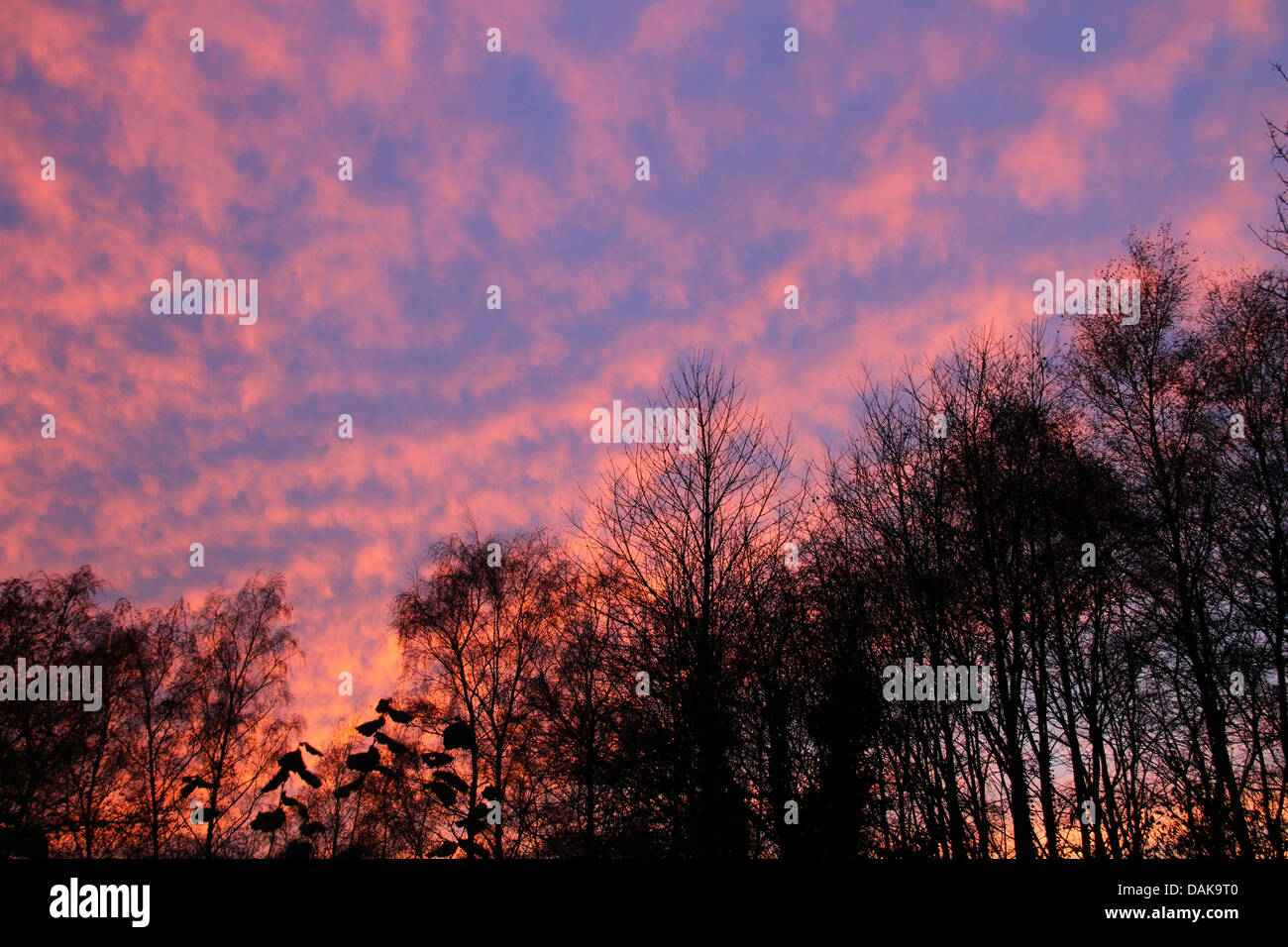 Germany g hi-res stock photography and images - Alamy