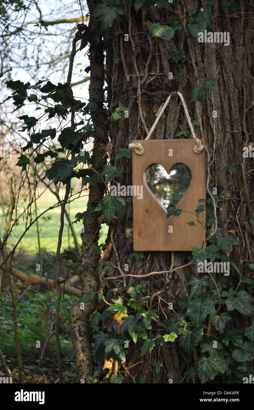 Heart Mirror Hanging on a Tree Trunk in the Woods Stock Photo - Alamy
