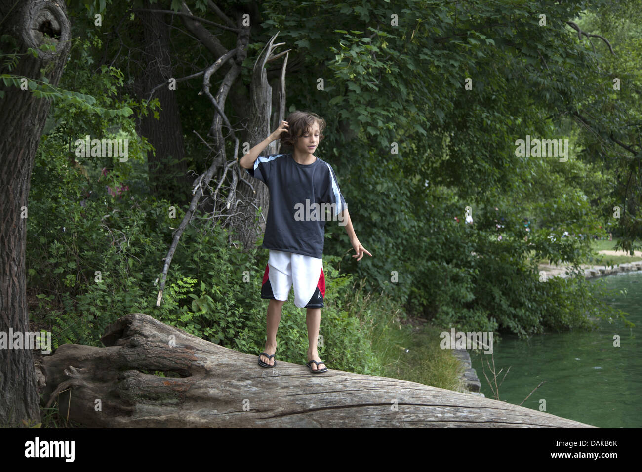 Boy carefully walks on a large tree trunk that fell into the water on ...