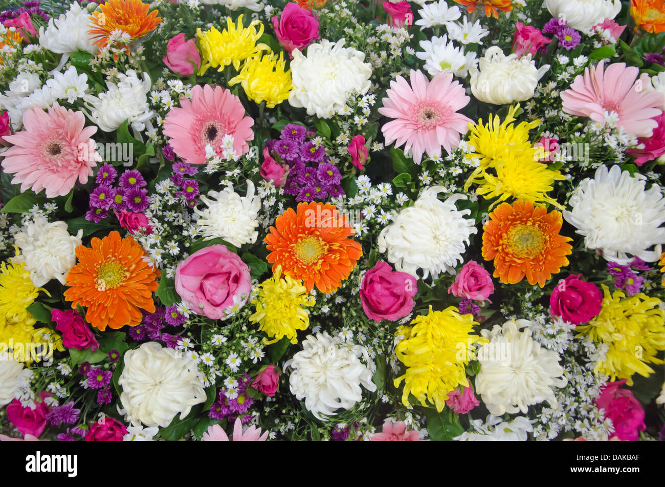 mixed of fresh colorful flower bouquet , flora full background Stock ...