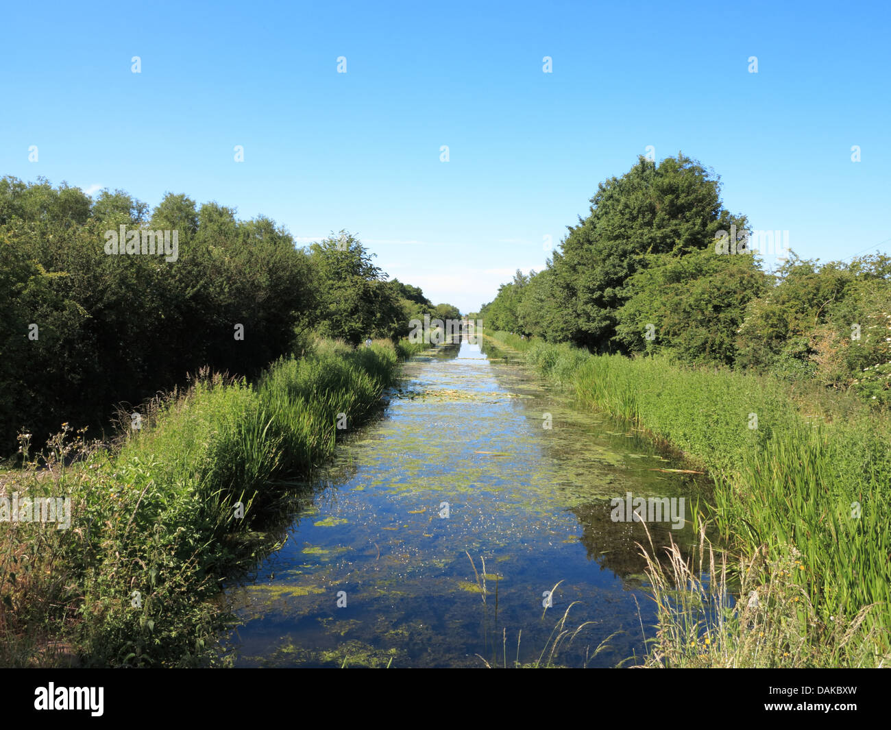 Shropshire Canal High Resolution Stock Photography and Images - Alamy