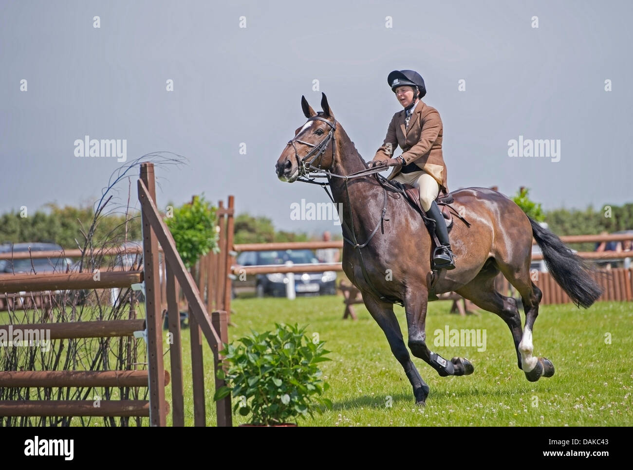 Stithians Show High Resolution Stock Photography and Images - Alamy