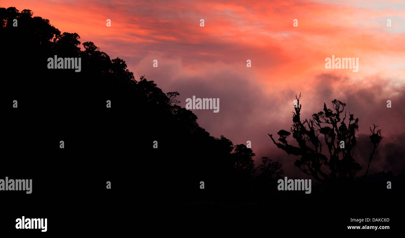 Sunset over cloud forest in Enga Province, Papua New Guinea highlands ...
