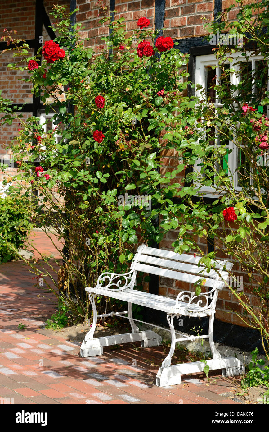 Bench in front of house hi-res stock photography and images - Alamy