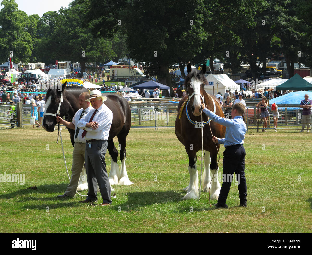 Chetwynd park hi-res stock photography and images - Alamy