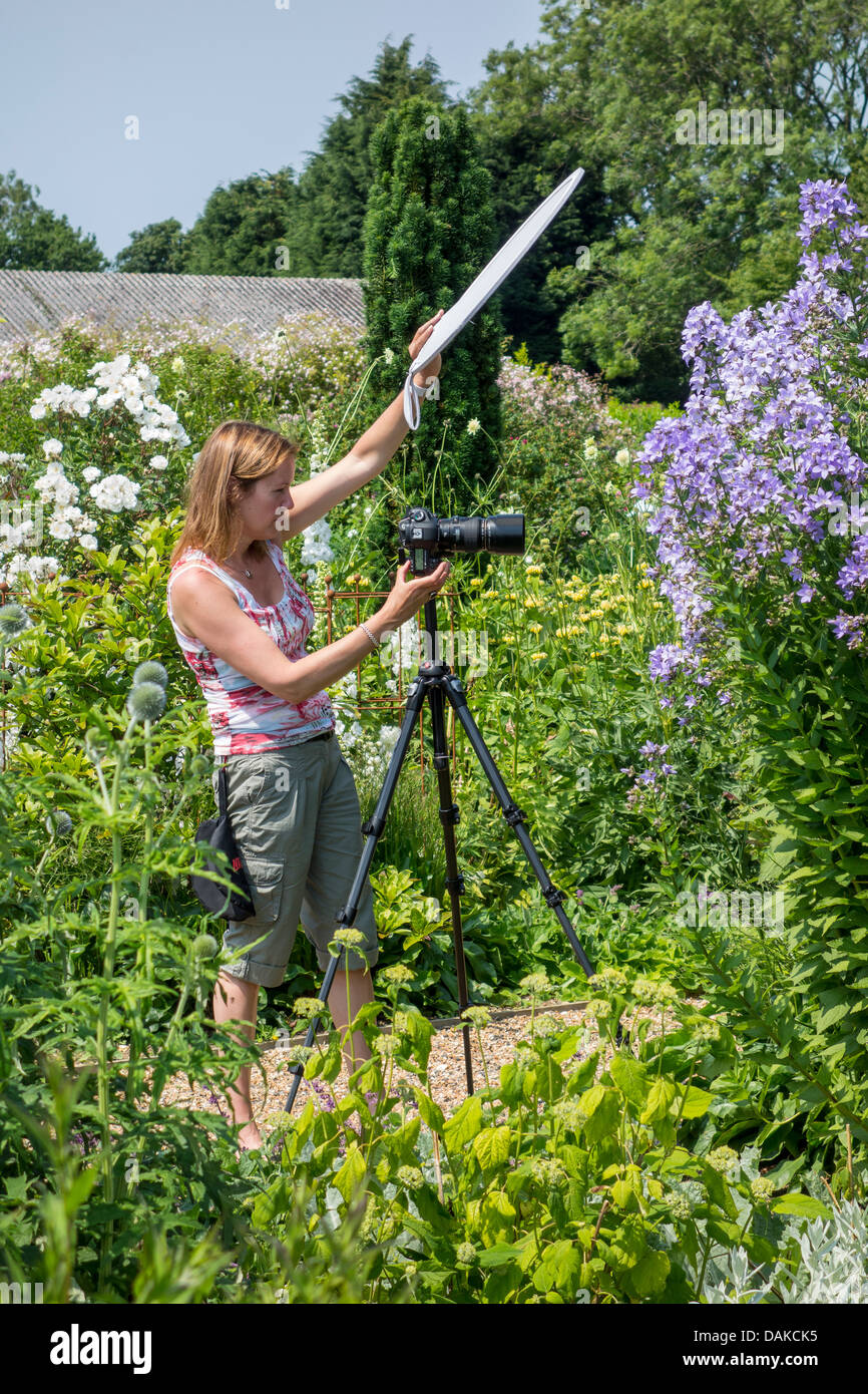 Lady photographer hi-res stock photography and images - Alamy