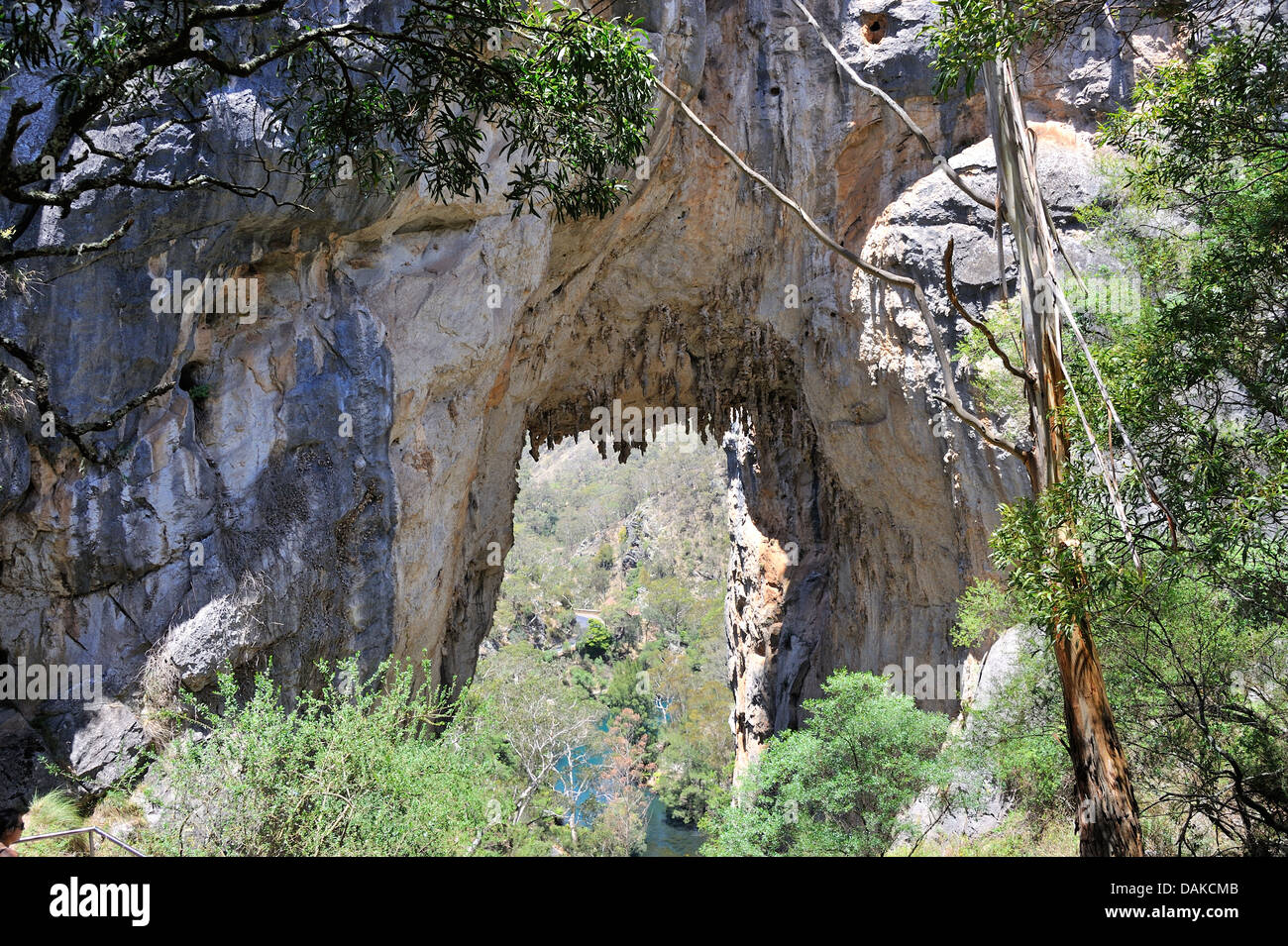 limestone arch,Carlotta Arch at Jenolan Caves, Australia Stock Photo ...