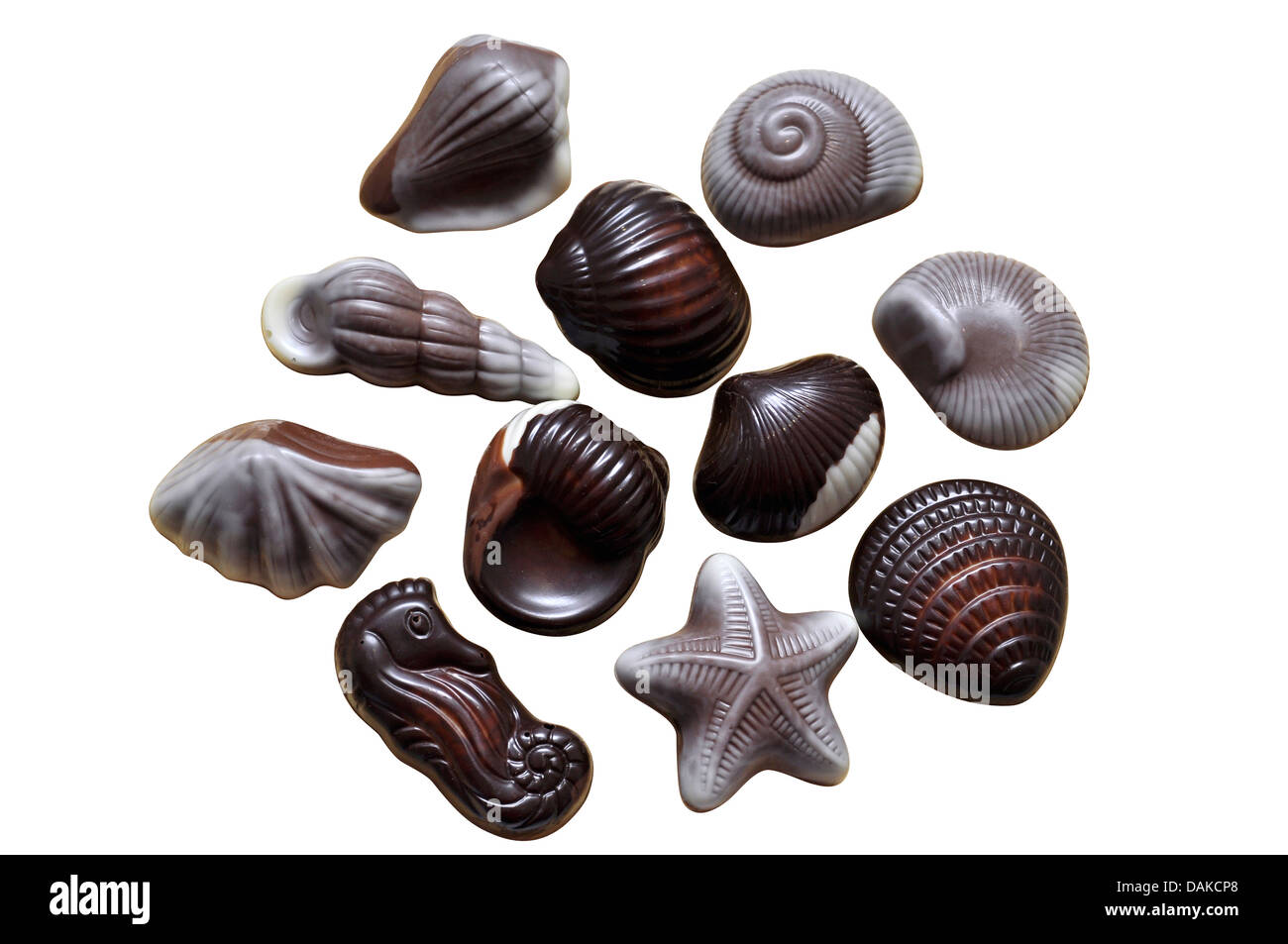 Assorted chocolate candies of sea-shell shapes isolated on white Stock ...