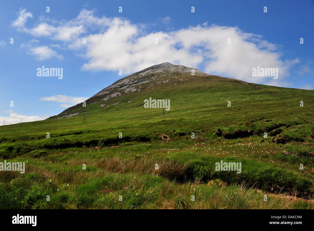 Mount Errigal near Gweedore, County Donegal, Ireland Stock Photo - Alamy