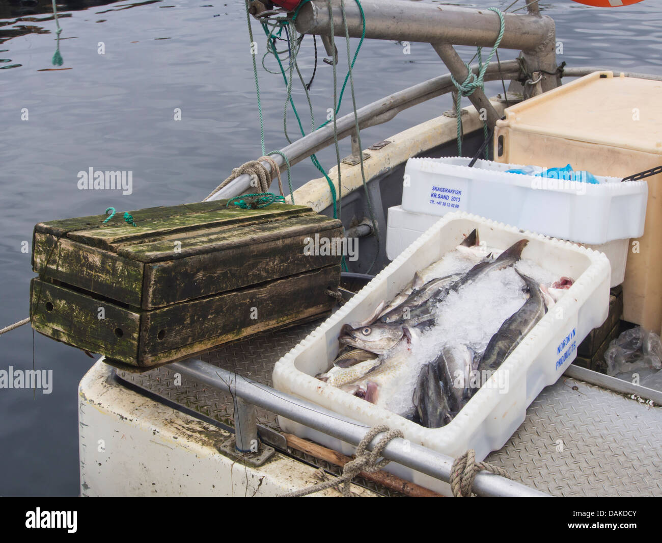From fishing hi-res stock photography and images - Alamy