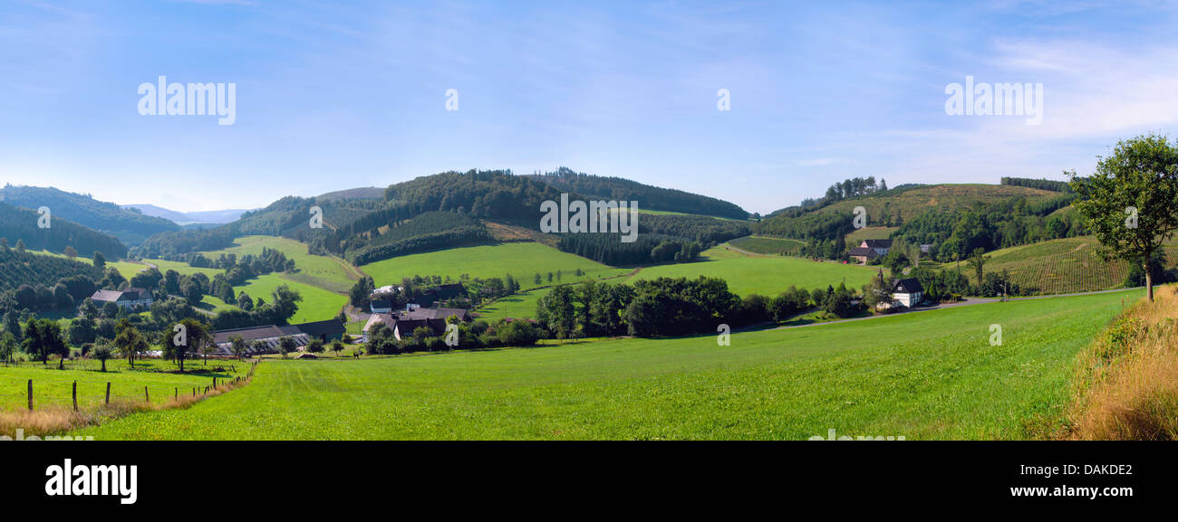 panoramic view over single houses in a hilly forest and meadow ...