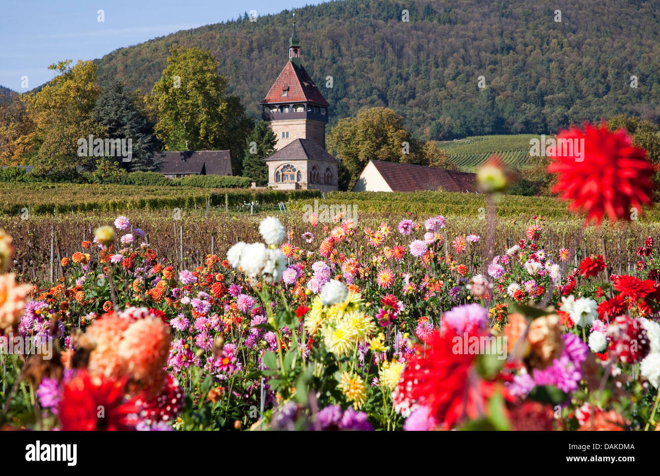 Church towers composite hi-res stock photography and images - Alamy