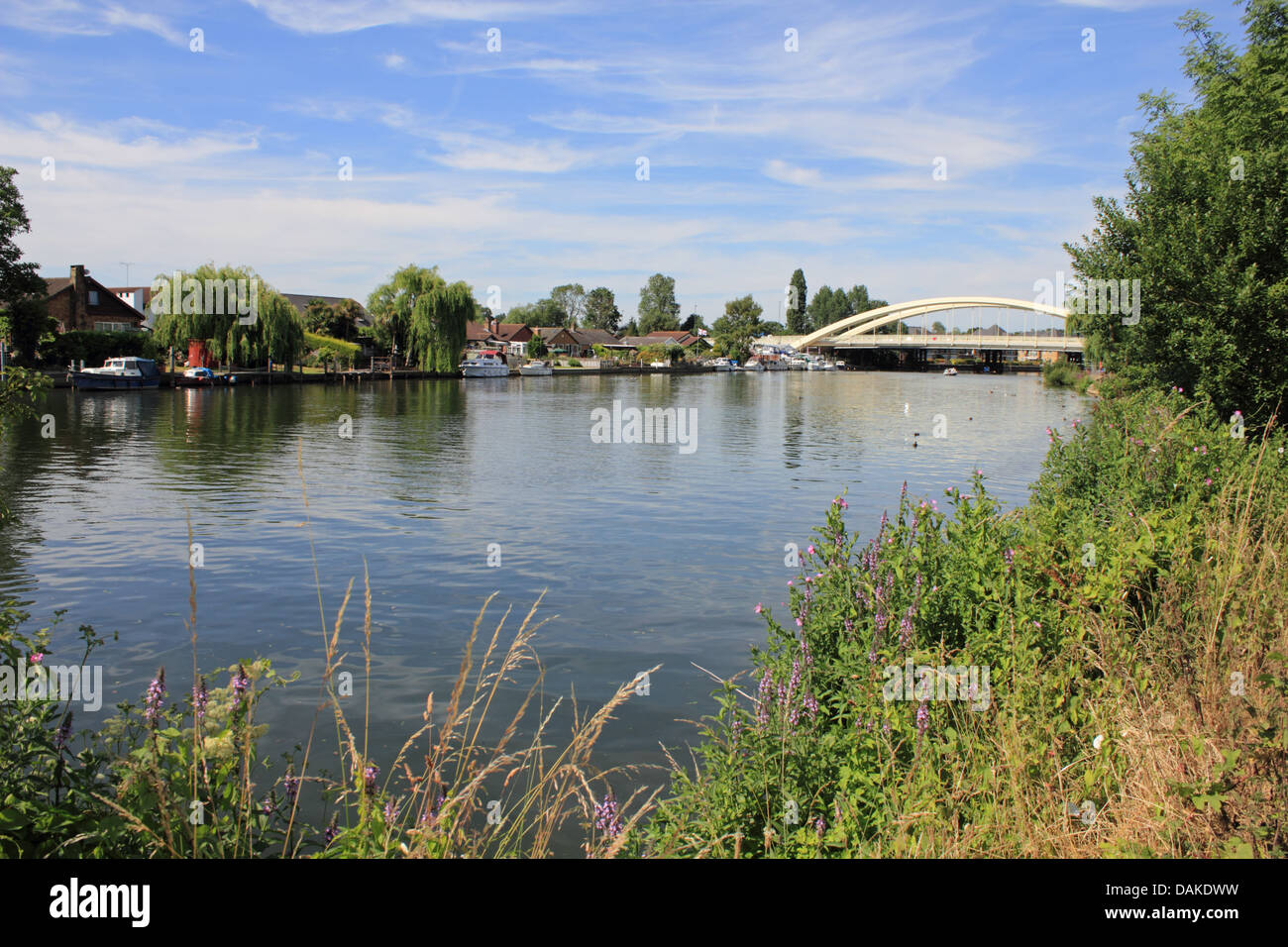 Elmbridge surrey river hi-res stock photography and images - Alamy