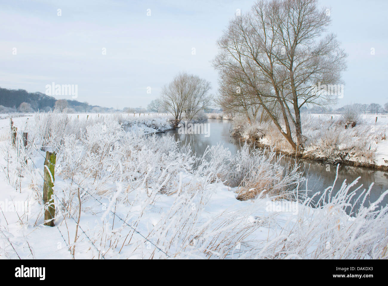 winter scenery of Lippe river , Germany, North Rhine-Westphalia ...