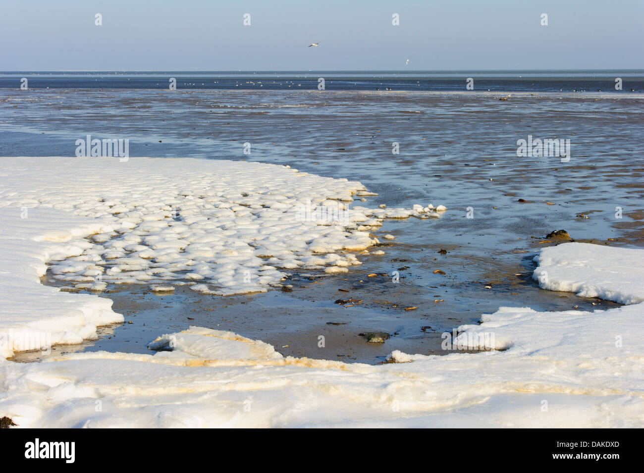 Formation of sea ice hi-res stock photography and images - Alamy