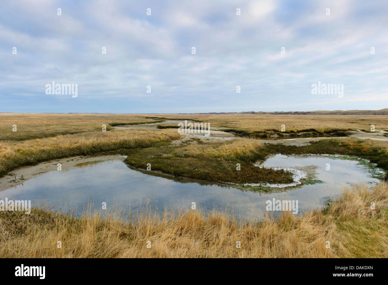 Salt marsh scenery hi-res stock photography and images - Alamy