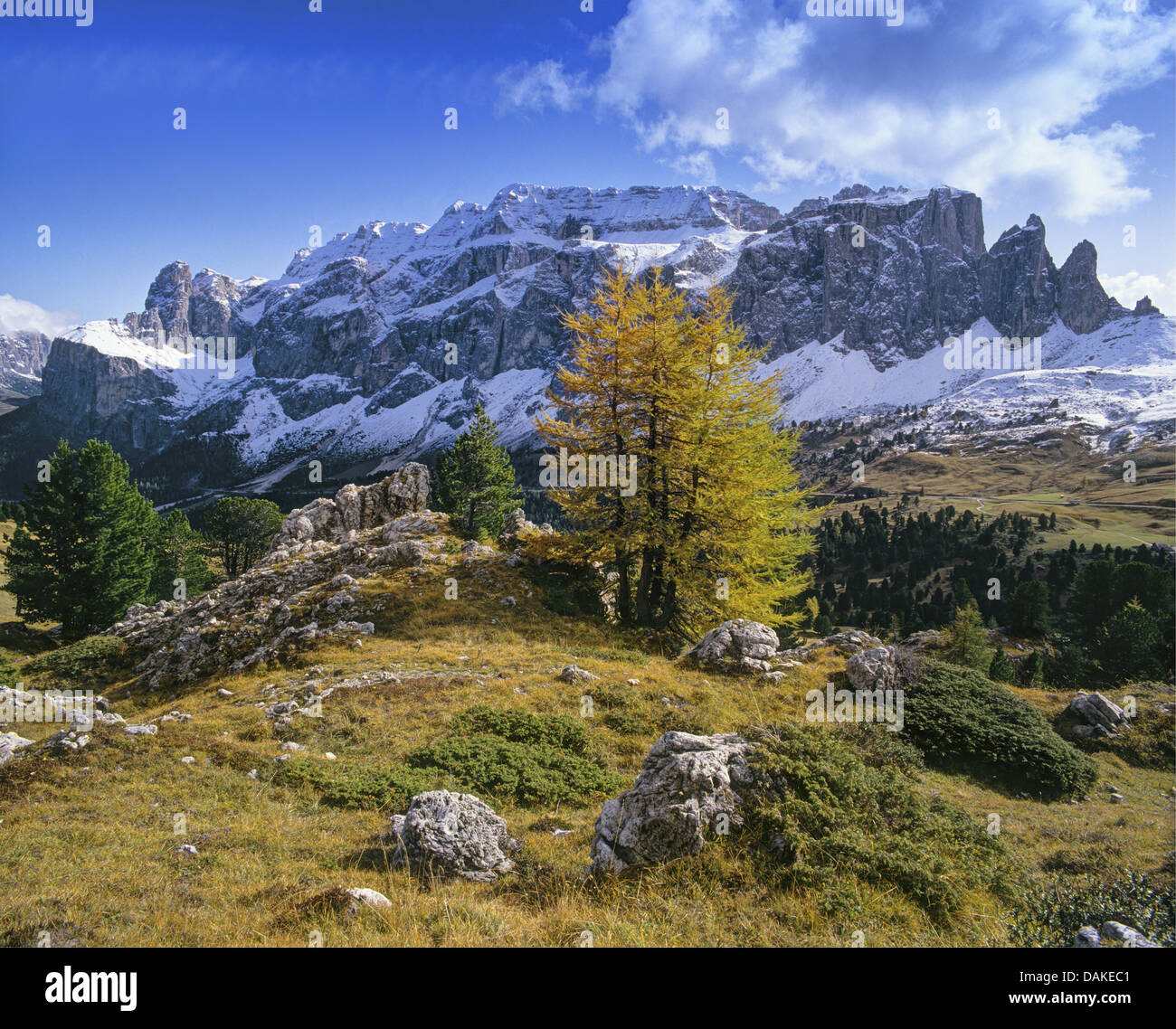 Sella group, Italy, South Tyrol, Dolomiten Stock Photo - Alamy