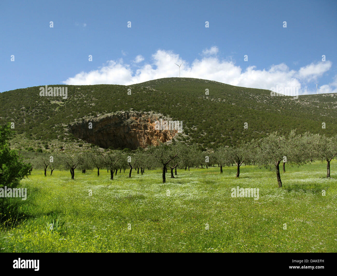 large doline near Didyma, Greece, Peloponnese, Argolis, Didyma Stock ...