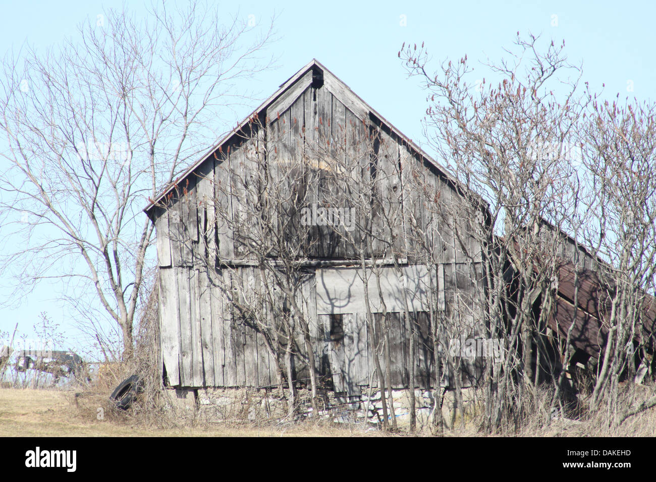 Old, abandoned, dilapidated, farm building on slight, foliage covered ...