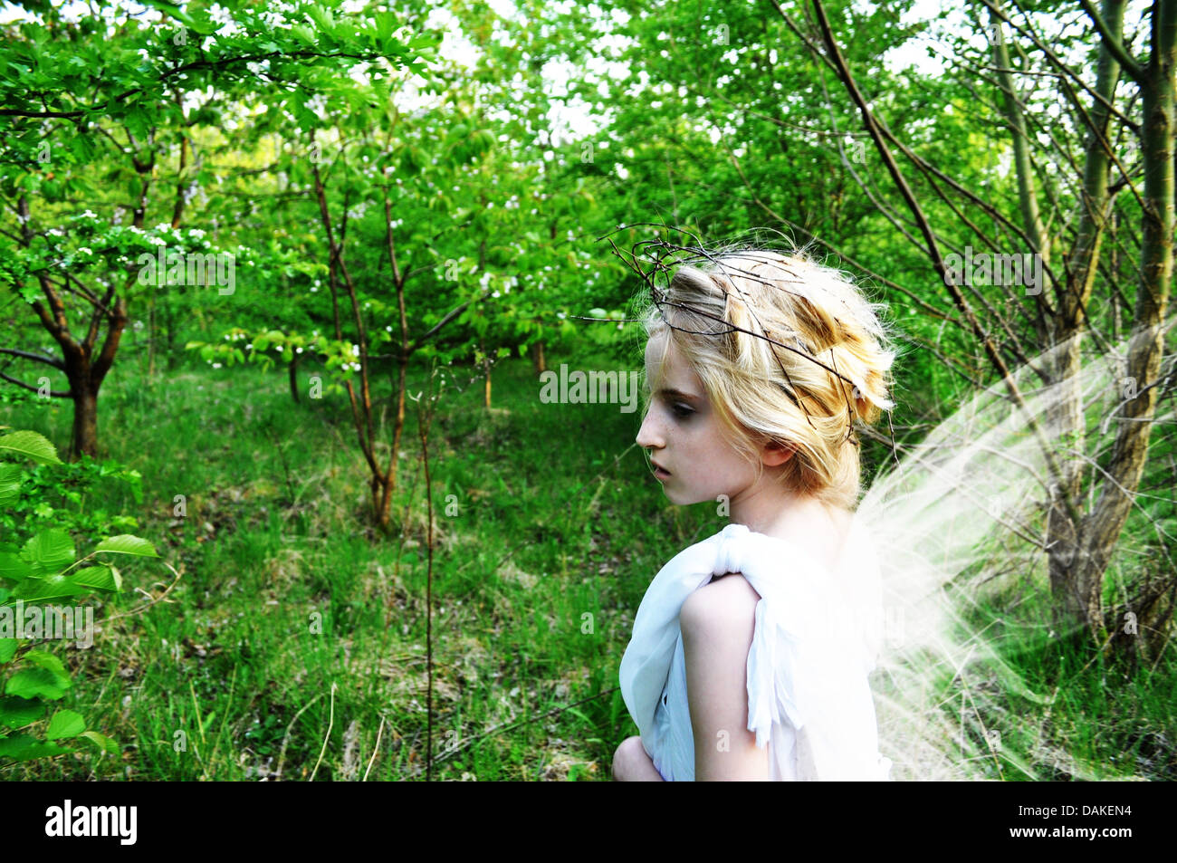 Fairy Nymph High Resolution Stock Photography and Images - Alamy