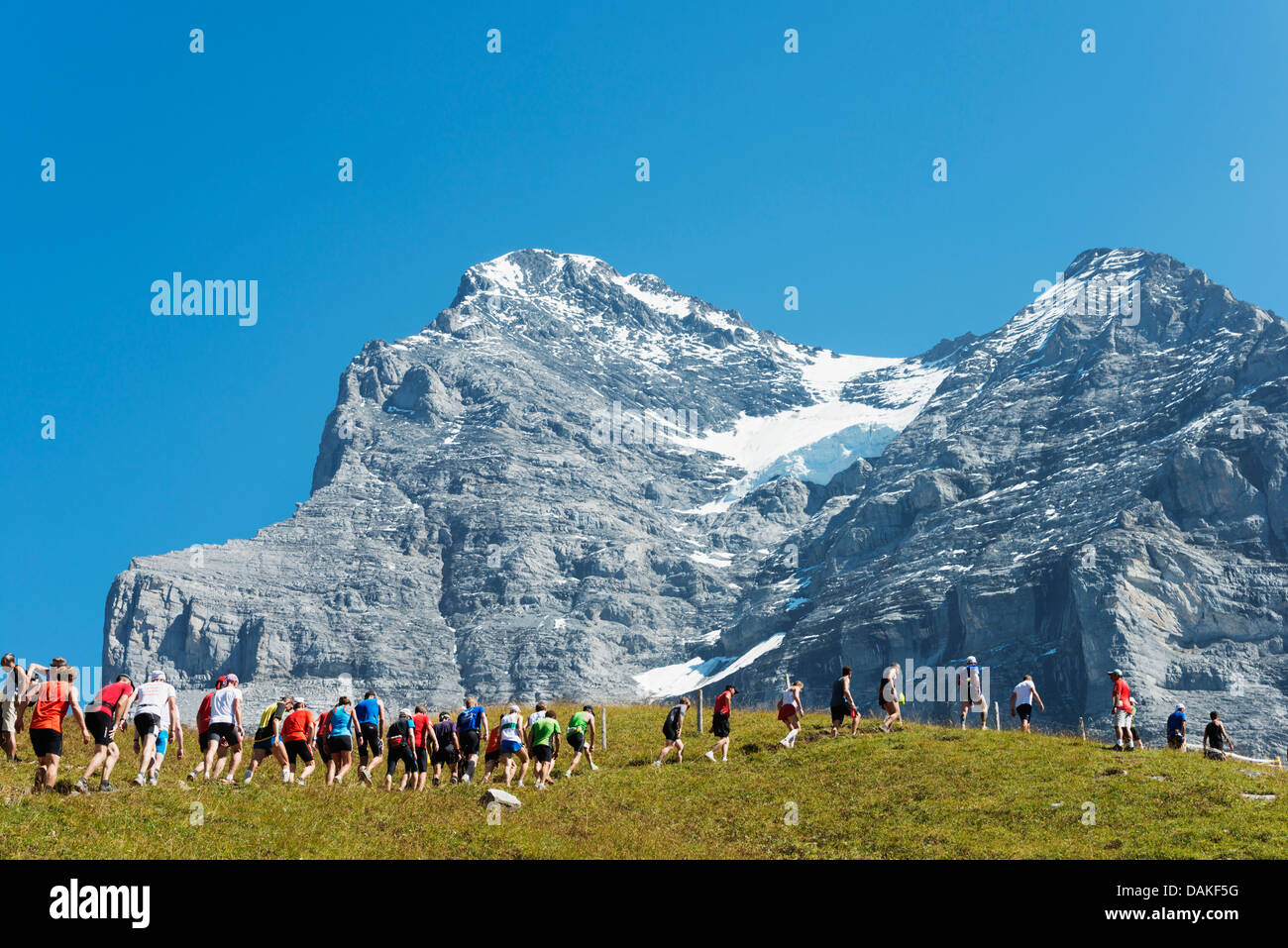 Europe, Swiss Alps, Switzerland, Bernese Oberland, Unesco, Jungfrau ...