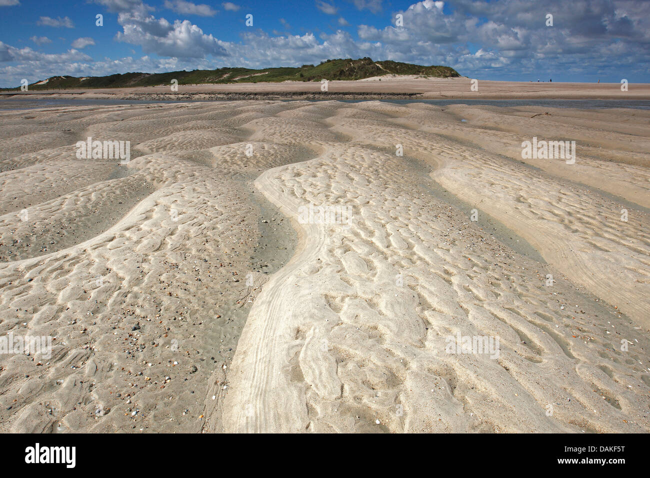 North Sea beach at ebb-tide, Belgium, Het Zwin, Knokke Stock Photo - Alamy