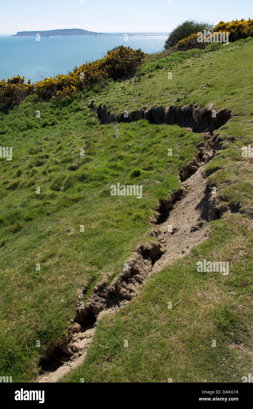 Cracks appear in a field above the cliffs at Osmington Mills. Part of ...