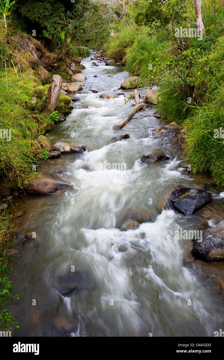 Fast flowing river in the Papua New Guniea Highlands Stock Photo - Alamy