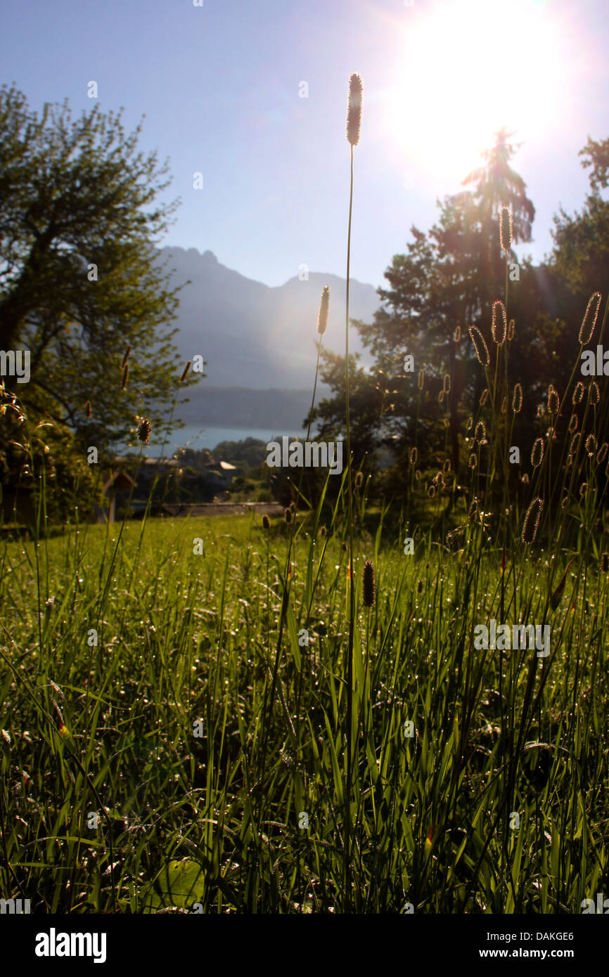 Annecy lake area hi-res stock photography and images - Alamy
