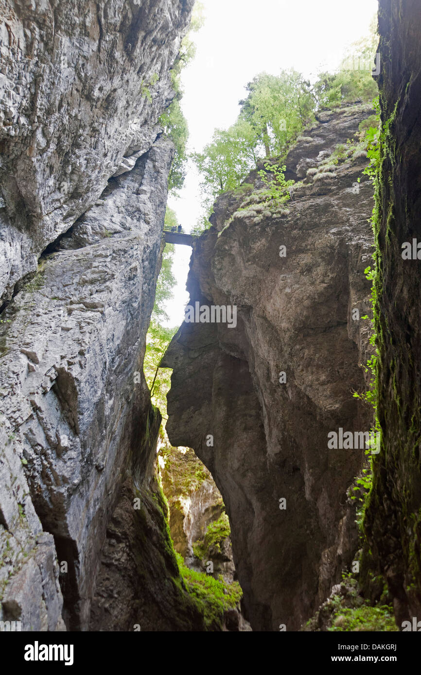 view through the Breitachklamm in the Kleinwalsertal, Germany, Bavaria ...