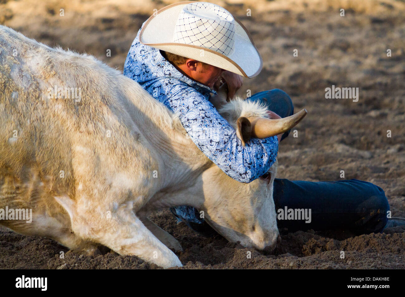 2013 Cowboy Up rodeo in Kiowa, Colorado Stock Photo - Alamy