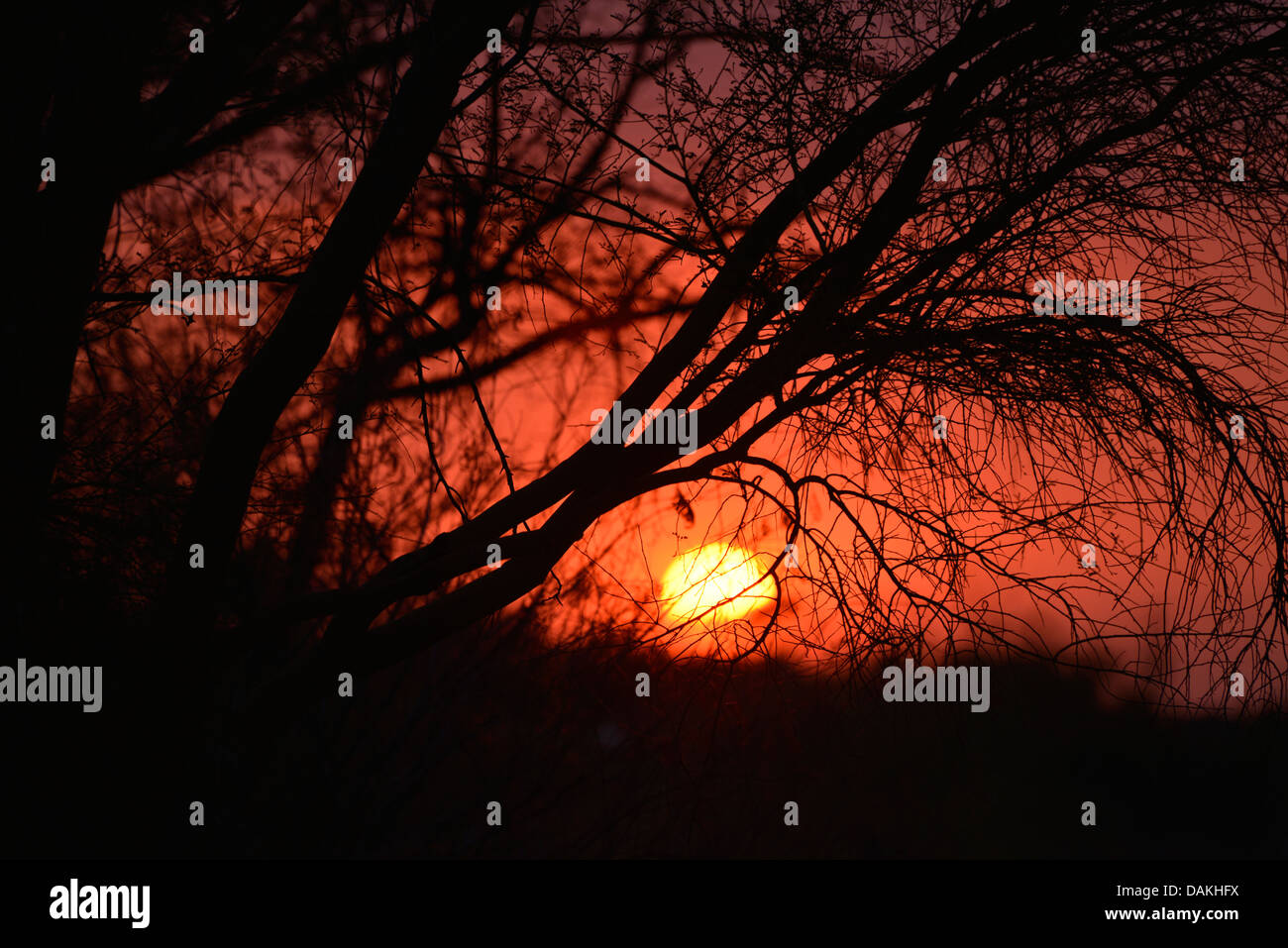 A dust storm filters the sun at sunset in the Sonoran Desert,Tucson ...