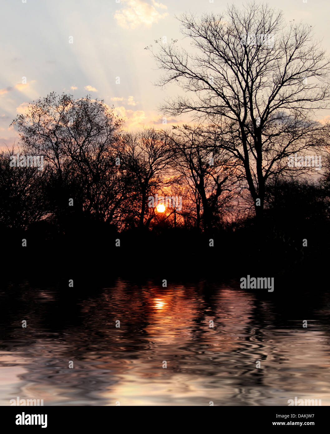 Sunset silhouette bushveld trees hi-res stock photography and images ...