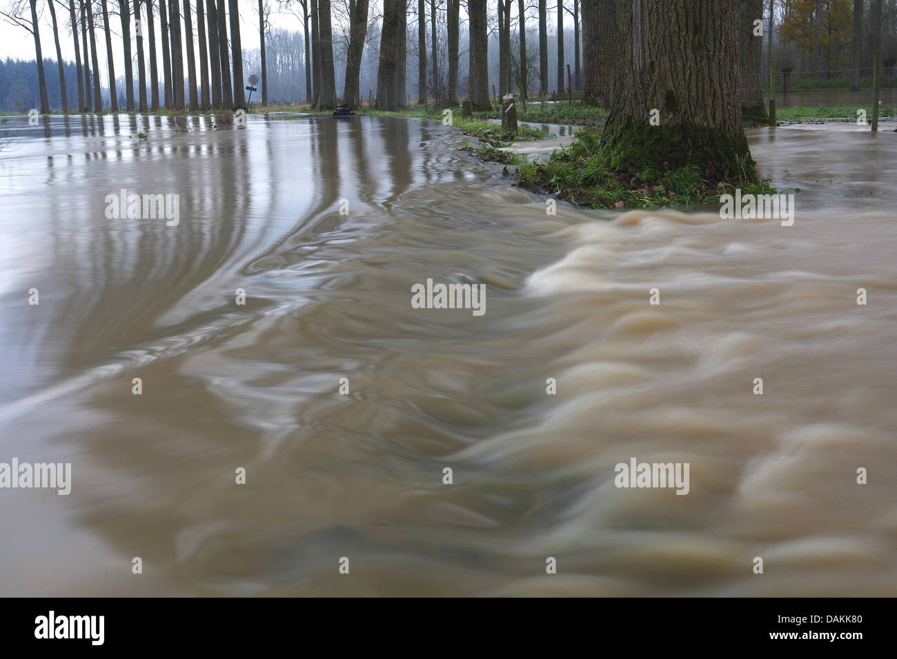 flooded riverbanks of Durme, Belgium, Durme Stock Photo - Alamy